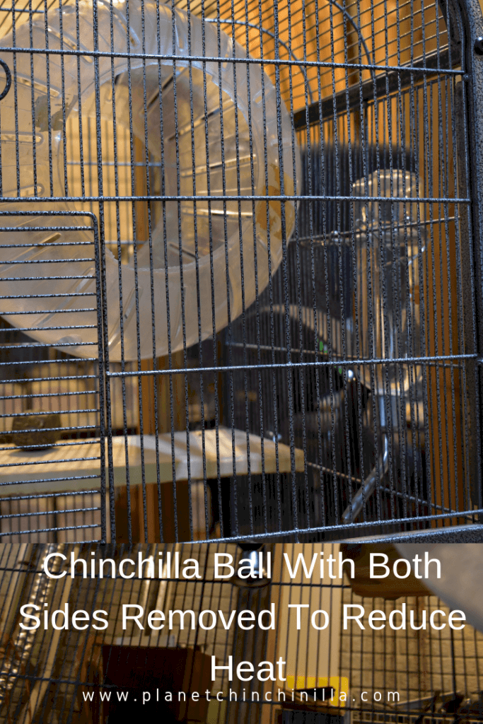 What Do Chinchillas Like To Play With? (A Few Suggestions)